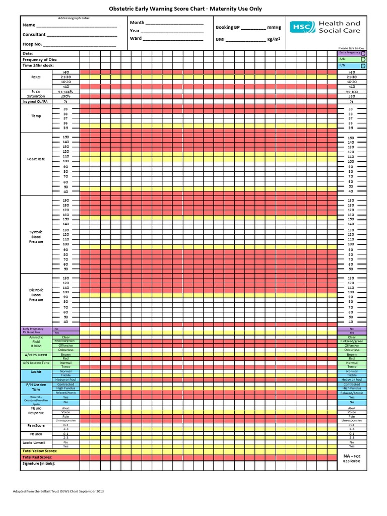Obstetric Early Warning Score Chart | PDF | Nausea | Midwife