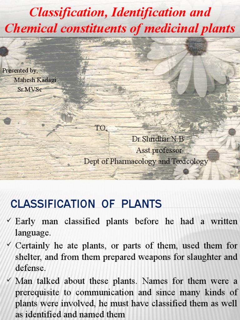 Classification, Identification and Chemical Constituents of Medicinal ...