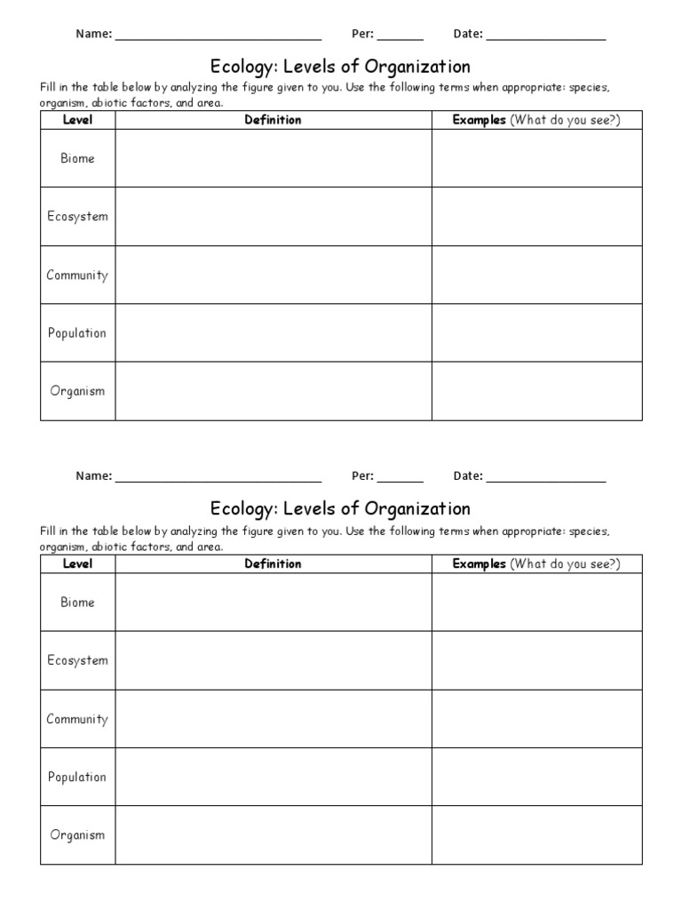 Ecology Level of Org Worksheet | PDF