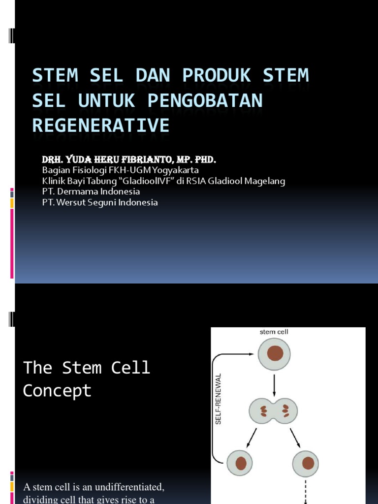 Stem Cell Dan Produknya Di Unnes | PDF | Stem Cell | Cell Potency