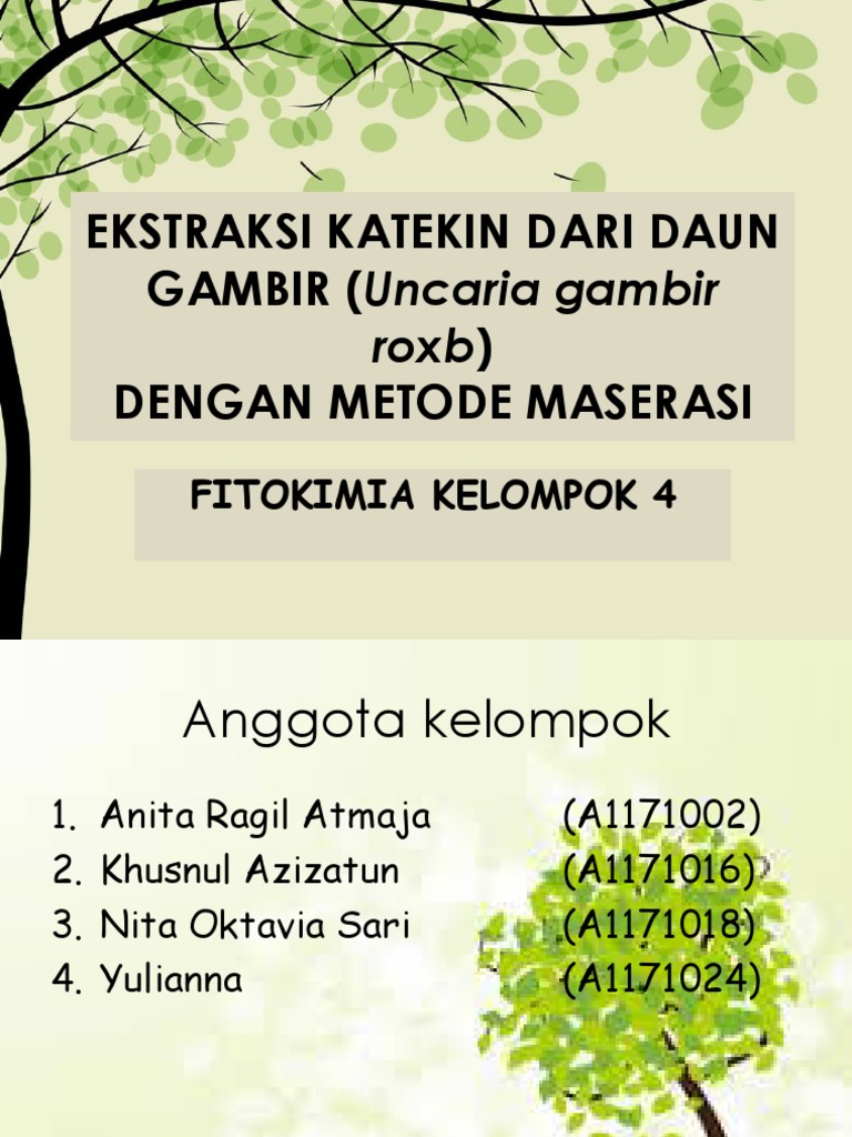 Ekstraksi Katekin dari Daun Gambir | PDF | Memasak, Makanan, & Anggur ...
