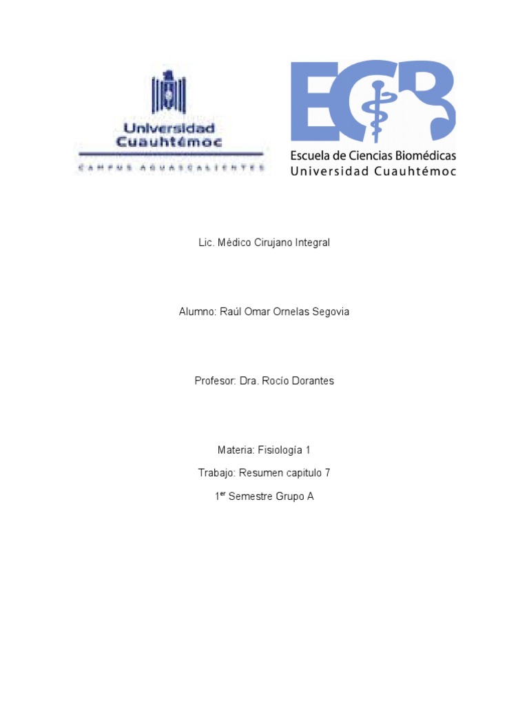Resumen Cap 7 Guyton | PDF | Unión neuromuscular | Acetilcolina
