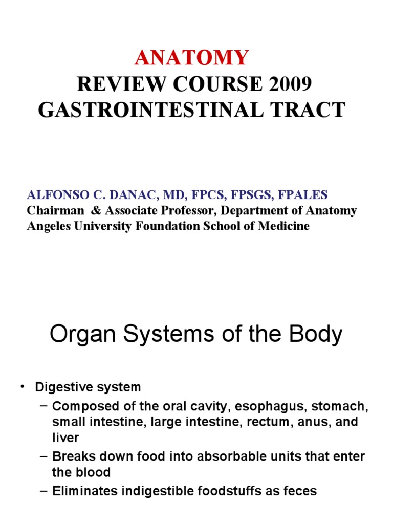 Anatomy of The GI Tract | PDF | Gastrointestinal Tract | Stomach