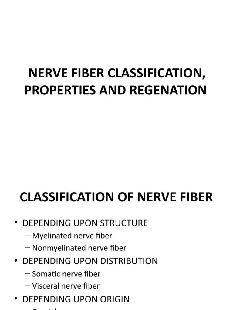 Nerve Fiber Classification, Properties and Regenation | PDF | Axon | Nerve