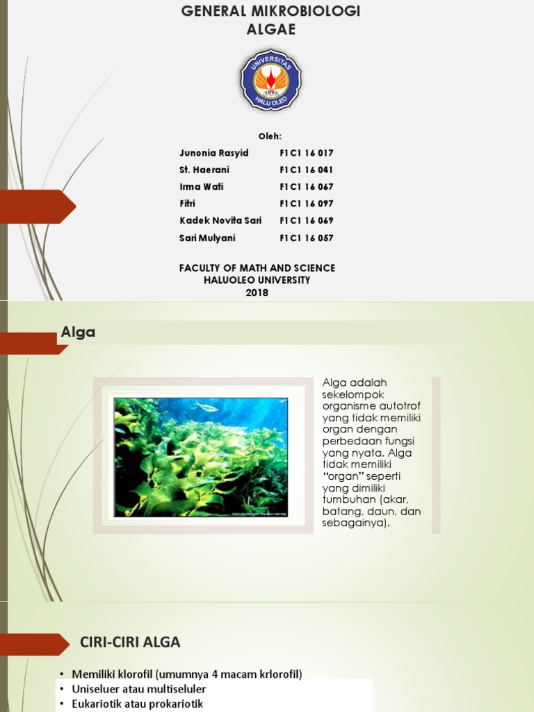 Mikrobiologi "Alga" | PDF