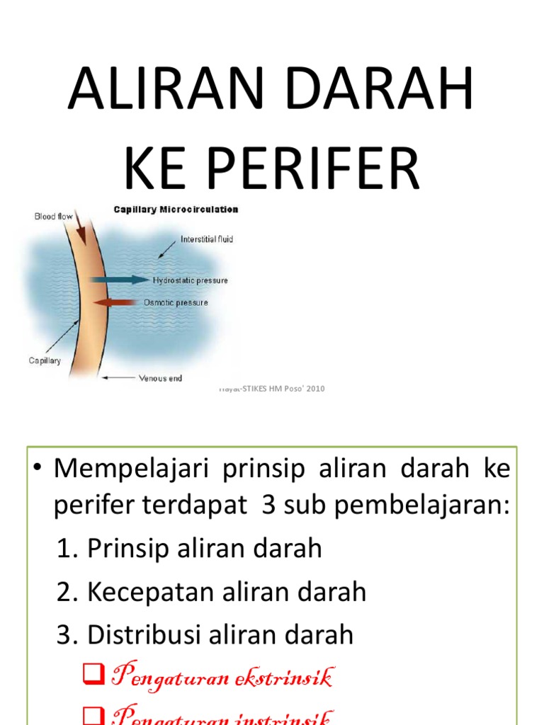 Aliran Darah Ke Perifer | PDF