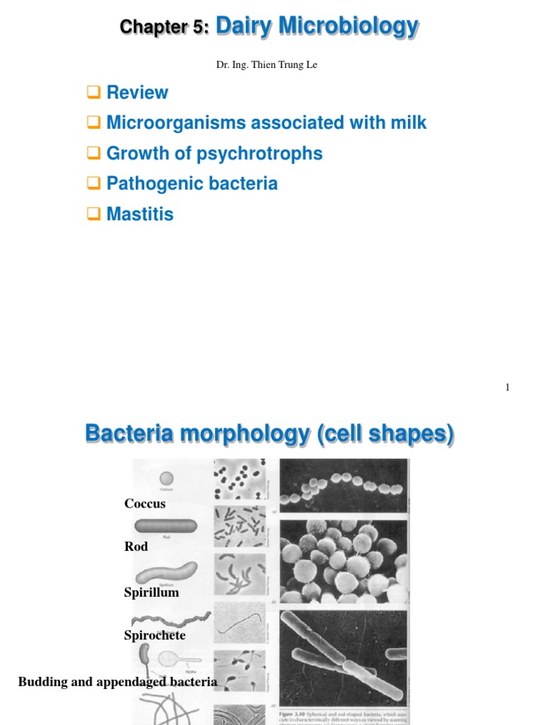 Chapter 5 - Dairy Microbiology | PDF | Microorganism | Yeast