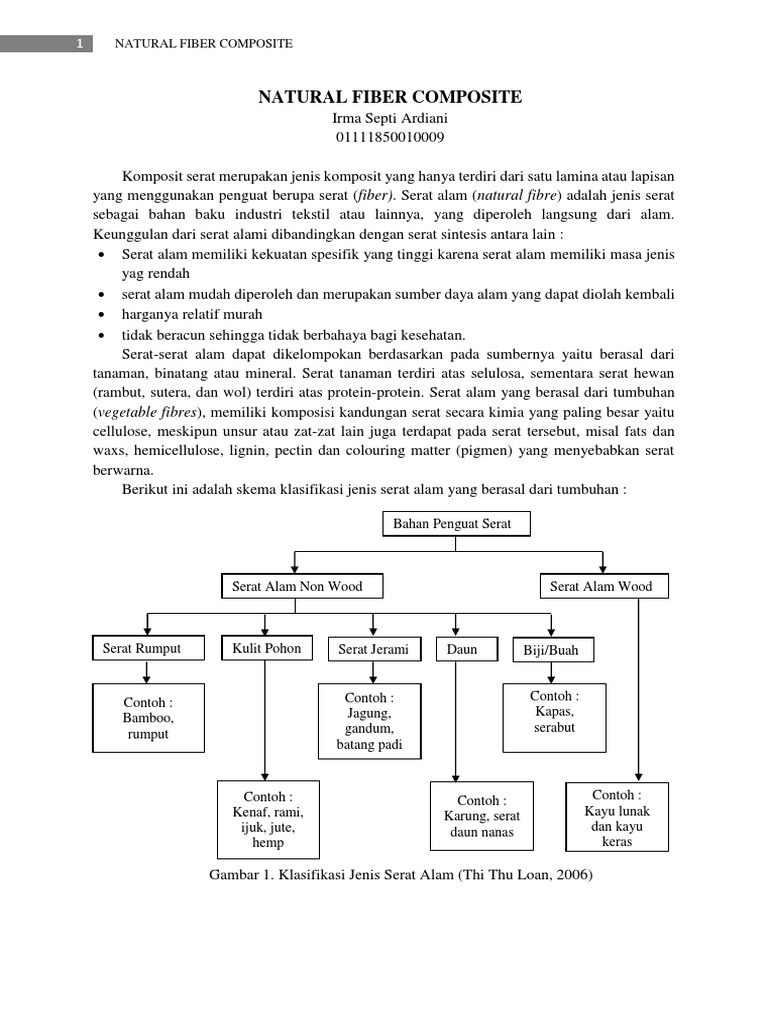 Natural Fiber Composite | PDF