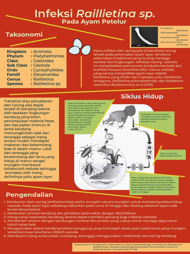 Raillietina Sp. Pada Ayam Petelur | PDF