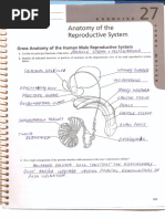 Exercise 2 Organ System Overview: BSN-1C | PDF | Human Body | Lymphatic ...