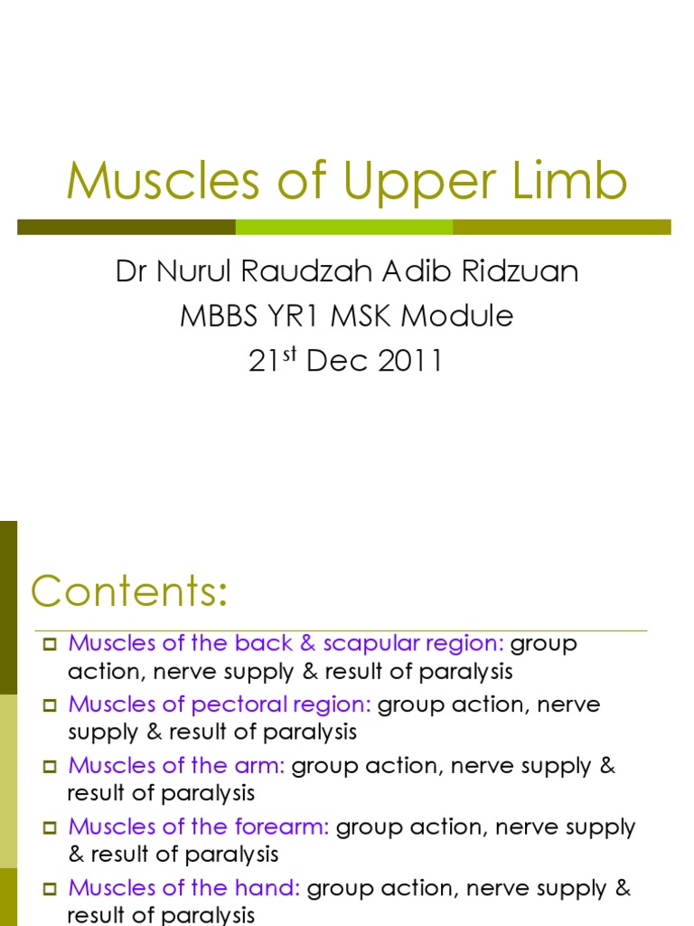 MBBS MSK YR1 Muscles of Upper Limb | PDF | Arm | Shoulder