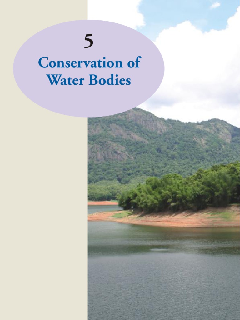 Conservation of Water Bodies | PDF | Wetland | Sewage Treatment