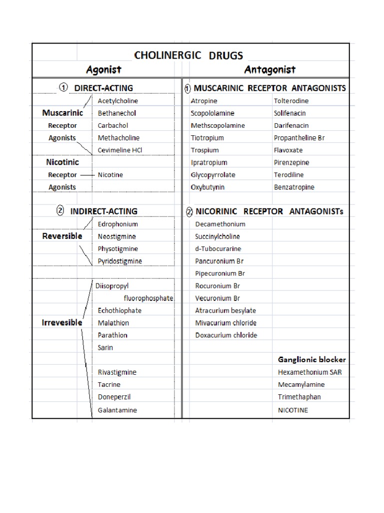 Cholinergic Agonist and Antagonist Overview | PDF | Acetylcholine ...