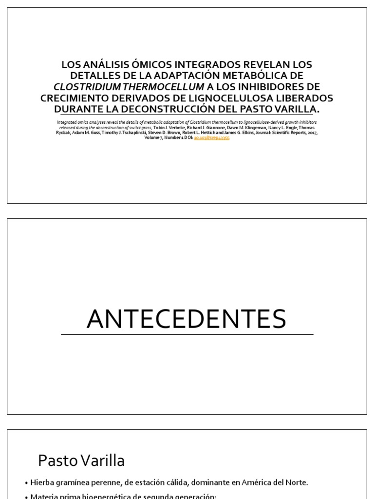 Pasto Varilla | PDF | La metabolómica | Proteínas