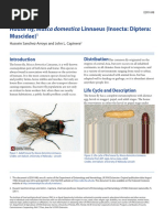 Cocori Libro Completo | PDF