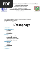 Anatomie des anses grêles et mésentère | PDF | Péritoine | Spécialités ...