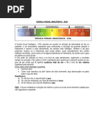 Instruções para Uso da Escala EVA | PDF | Bem-estar