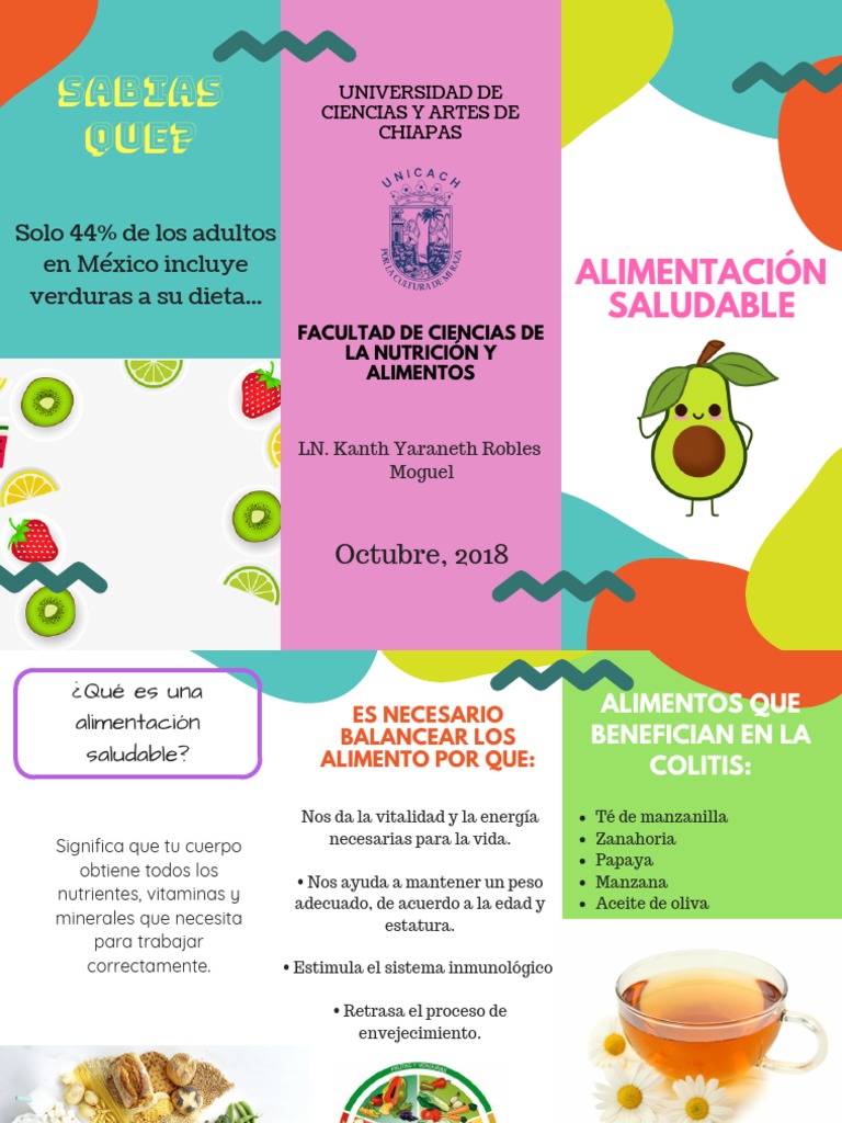 Alimentacion Saludable Triptico 1-Merged | PDF