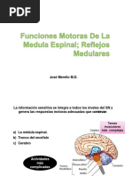 Funciones Motoras de La Medula Espinal Reflejos Medular | PDF | Médula espinal | Neurona