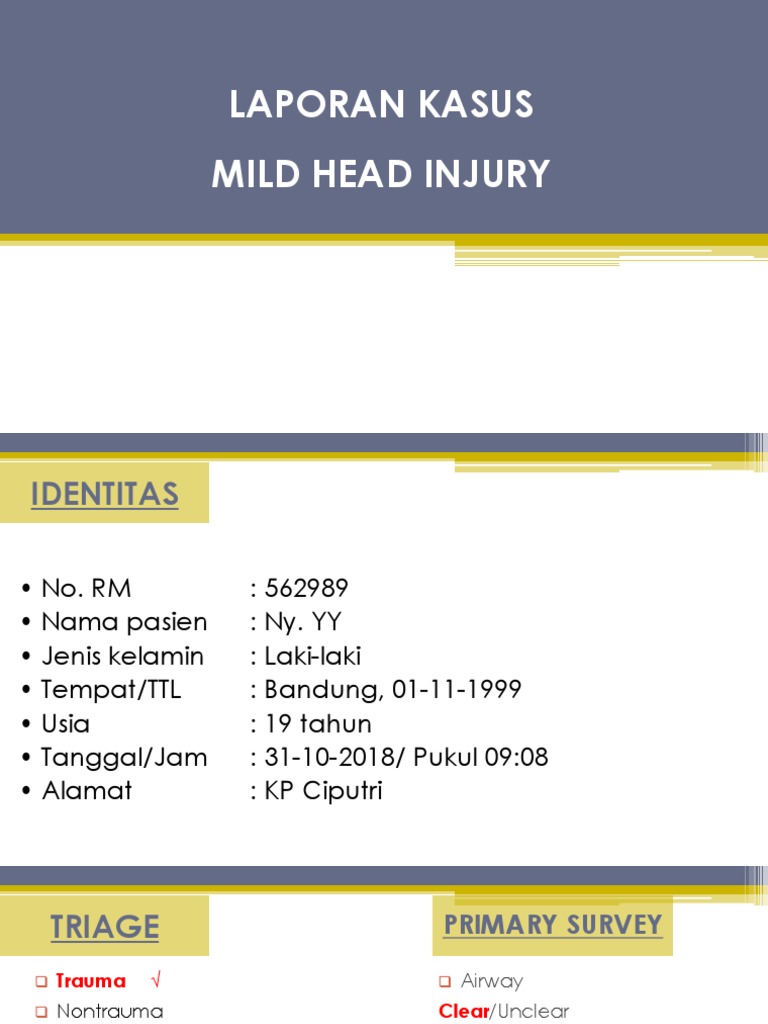 Mild Head Injury | PDF