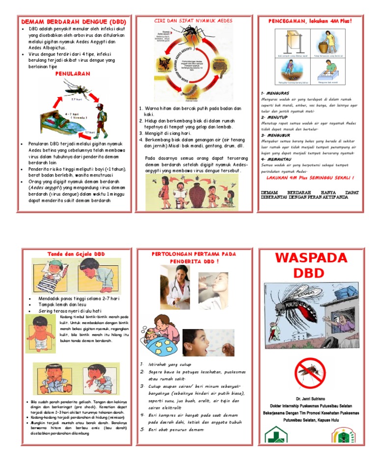 Leaflet DBD | PDF