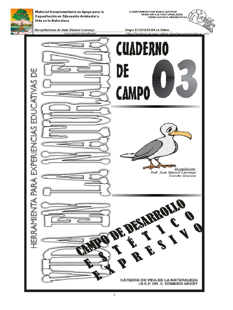 CC03 - Estetico Expresivas PDF | PDF | Homo Sapiens | Conocimiento