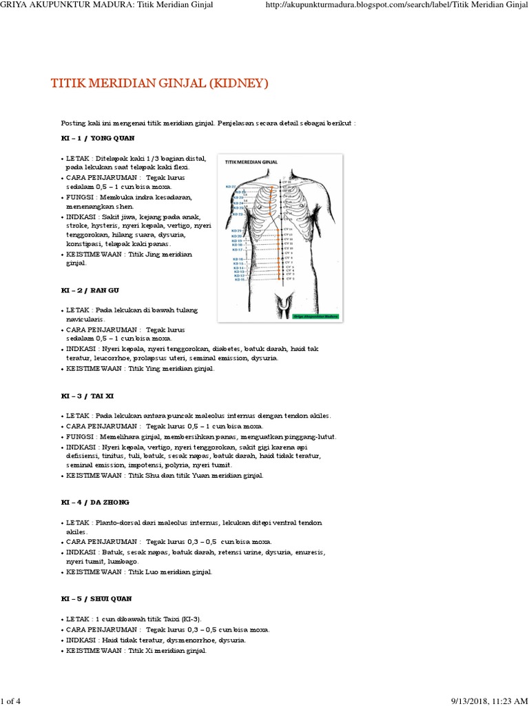 Titik Meridian Ginjal | PDF