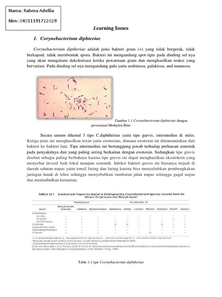 Corynebacterium Diphteriae | PDF