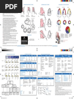 BSE A1 New Normal References Mar 20 | PDF | Clinical Medicine ...