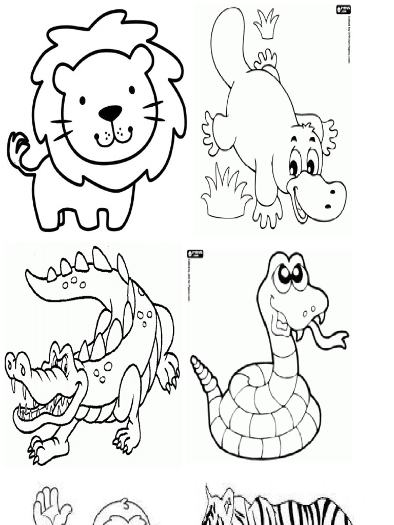 Animales para Colorear | PDF