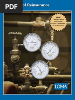 FLMI Level 1 Certificate Flyer | PDF | Insurance | Life Insurance