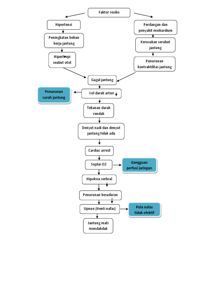 Pathway Pak Pipin | PDF