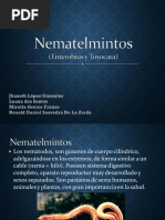 Ficha Técnica Quantrel | PDF | Medicamentos con receta | El embarazo