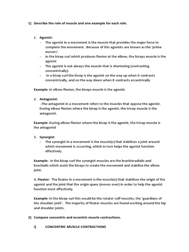 Kinesiology Week 2 - Role of Muscles | PDF | Muscle Contraction | Joints