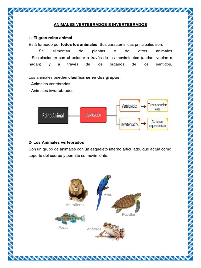 Clasificación de Animales Vertebrados | PDF | Vertebrados | Mamíferos