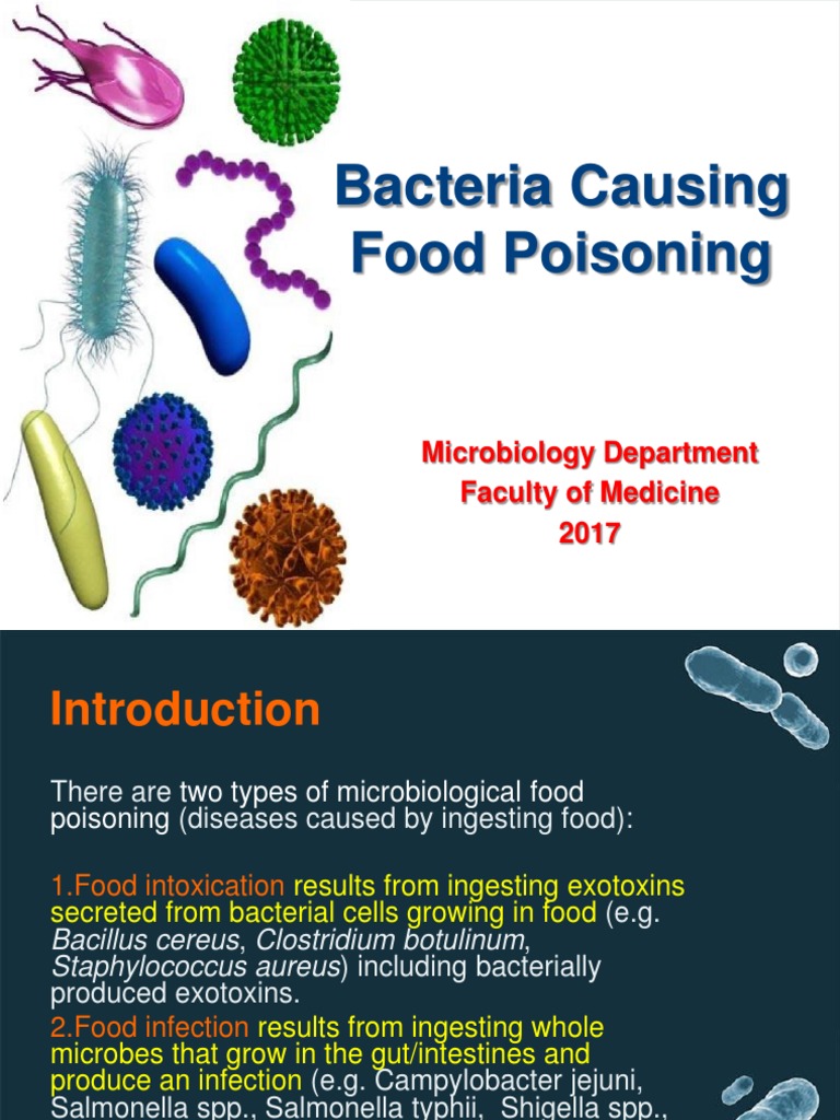 Bacteria Causing Food Poisoning Explained | PDF | Escherichia Coli ...