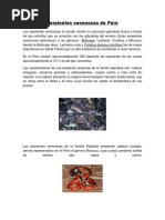 Presentación Edward Angle | PDF | Odontología | Ortodoncia