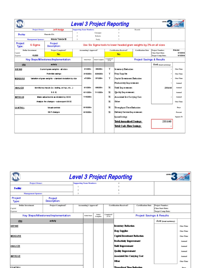 1-14c Project Reporting BLANK | PDF | Inventory | Standard Deviation