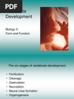 Fish Nares: Smell Mechanism Explained | PDF | Olfaction | Fish