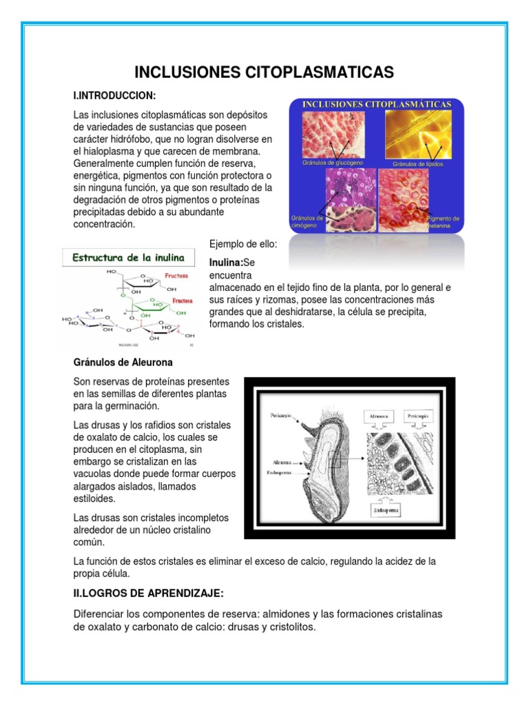 Inclusiones Citoplasmáticas: Tipos y Funciones | PDF