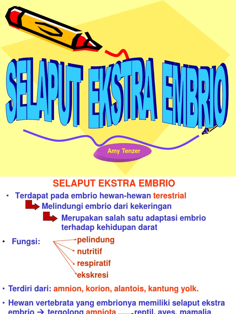 Selaput Ekstra Embrio Amytenz | PDF | Kesehatan Holistik