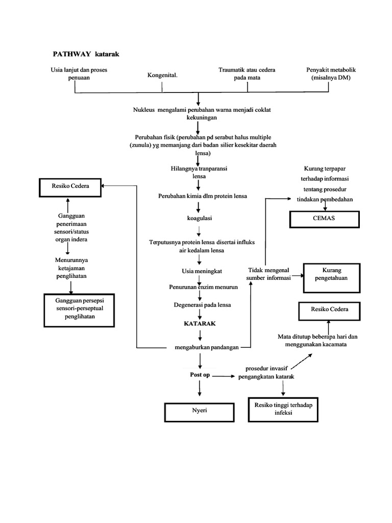 Pathway Katarak | PDF