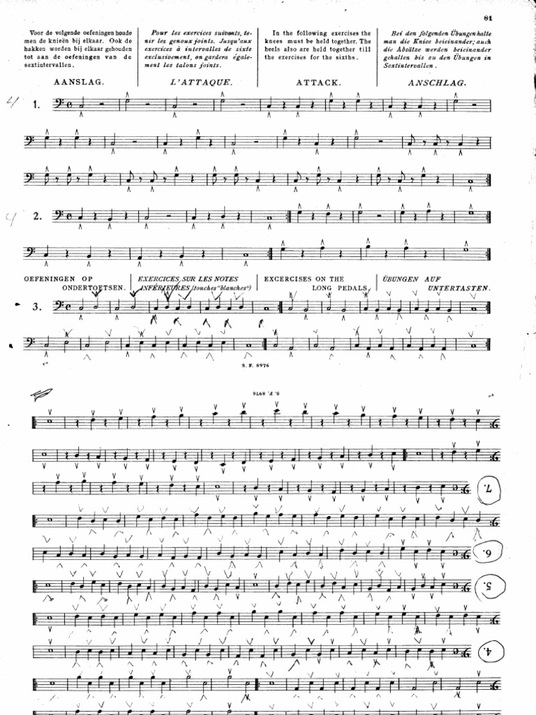 Liam Ars Organi Pedal Exercises | PDF