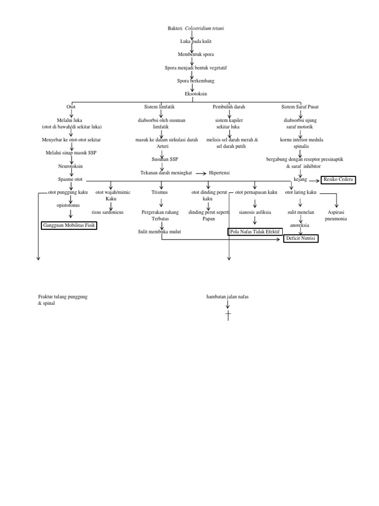 Pathway Tetanus | PDF