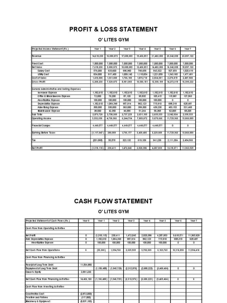 Profit & Loss Statement: O' Lites Gym | PDF | Expense | Income Statement