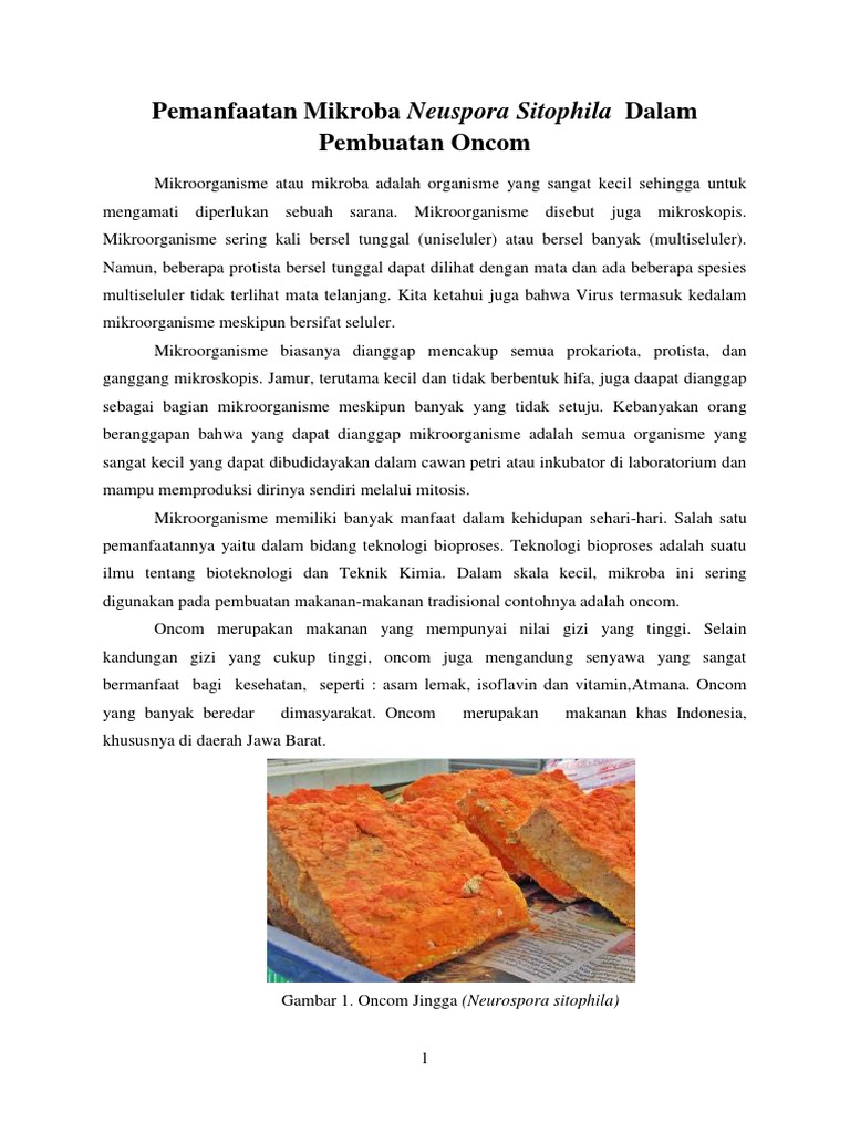 Pemanfaatan Mikroba Dalam Pembuatan Oncom | PDF