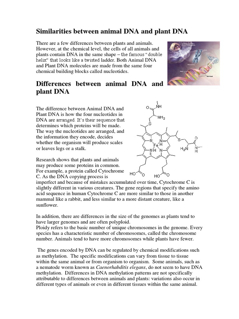 The Different Between Animal DNA and Planets DNA | PDF | Genome | Dna