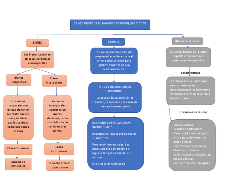 Mapa Conceptual Bienes | Propiedad | Virtud