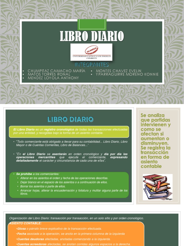 Libro Diario | PDF | Contabilidad | Economias