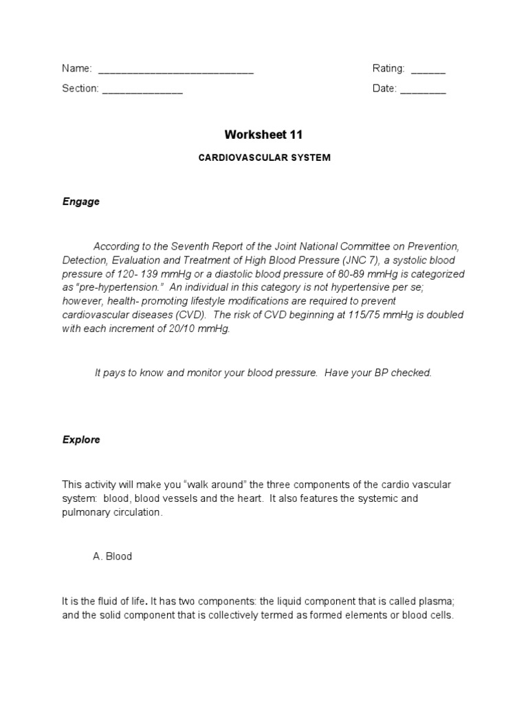 Worksheets | PDF | Kidney | Heart Valve